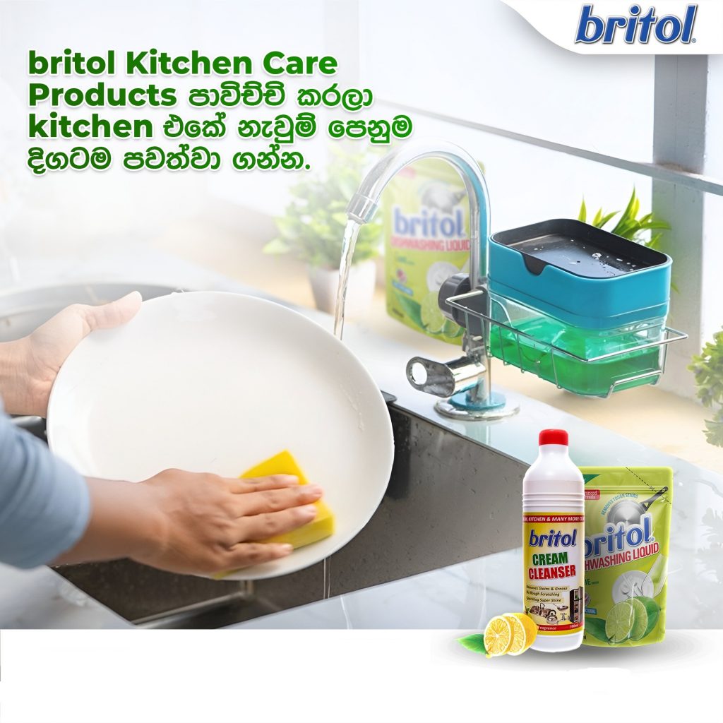 Britol - Cream Cleanser in Sri Lanka | Homemart | Shop Online