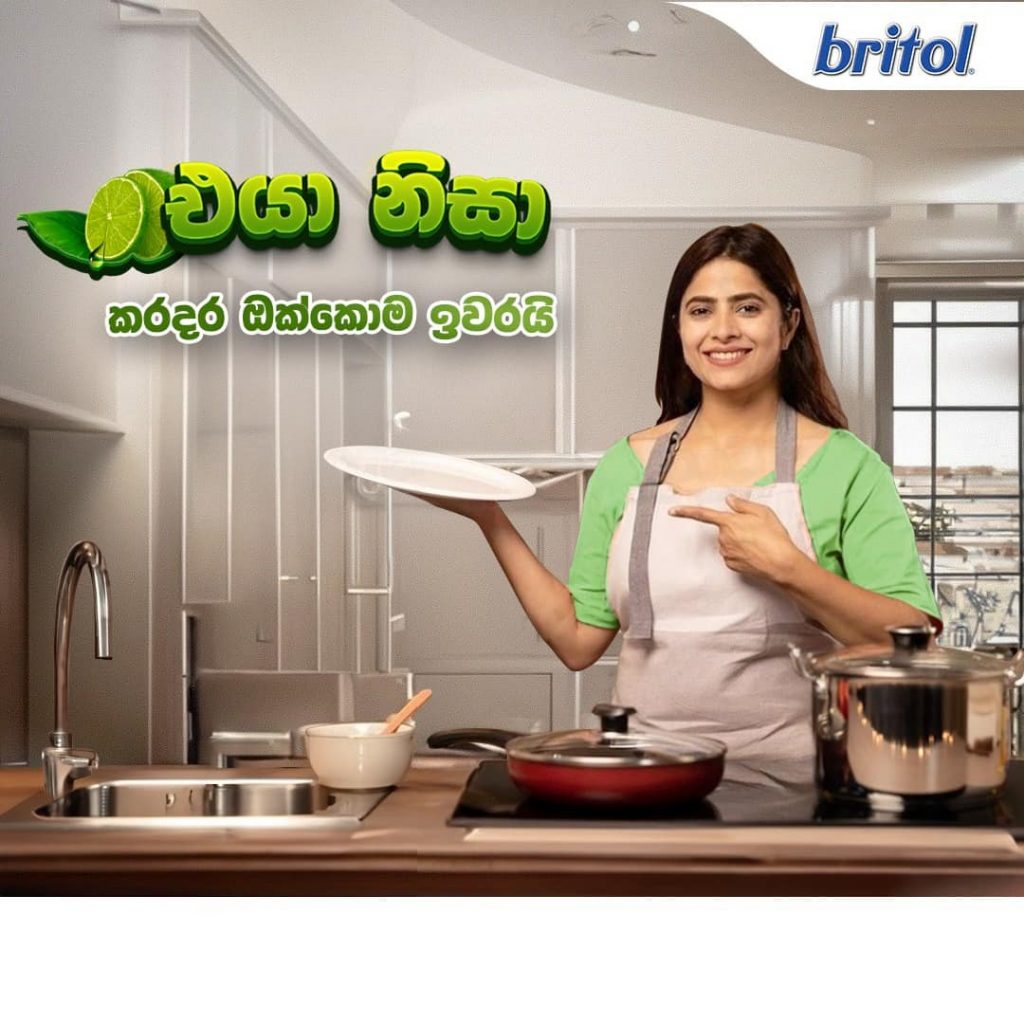 Britol - Dish Powder in Sri Lanka | Homemart | Shop Online
