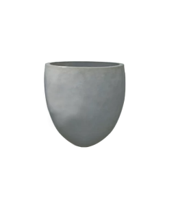 Bongo Pot in Sri Lanka | Homemart | Shop Online
