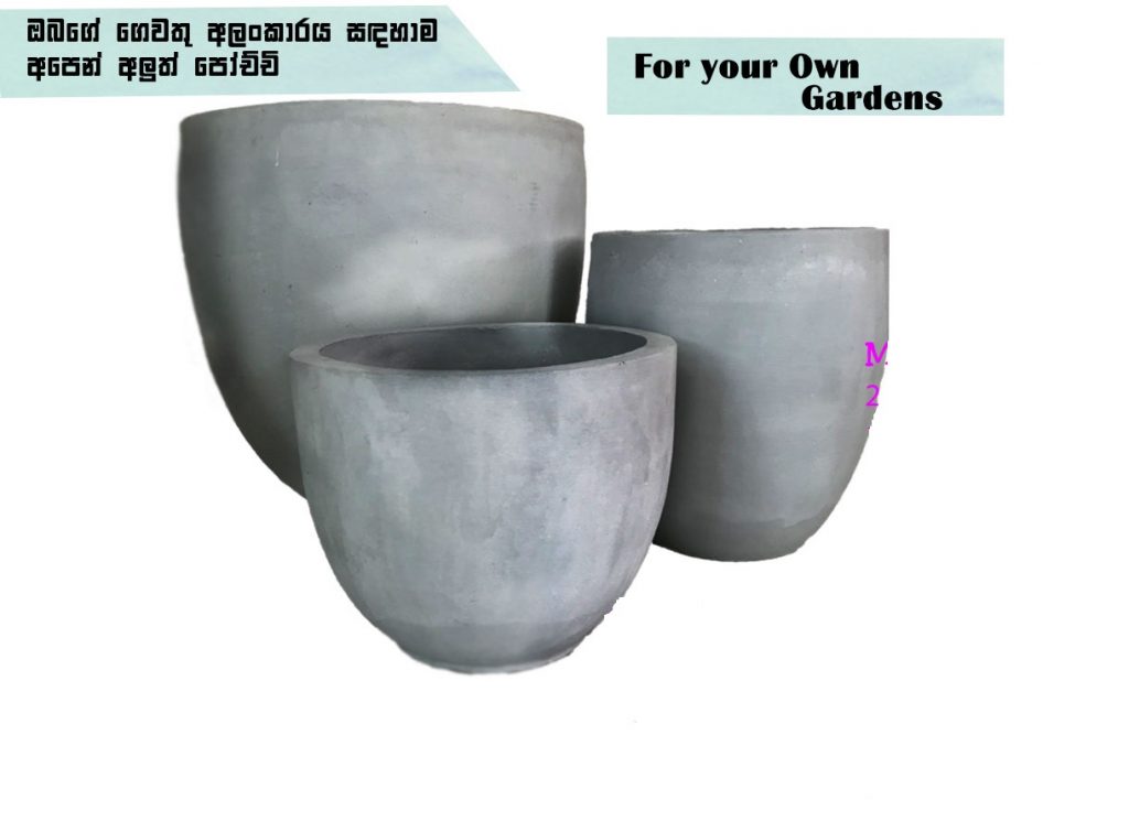 Angle Bongo Pot in Sri Lanka | Homemart | Shop Online