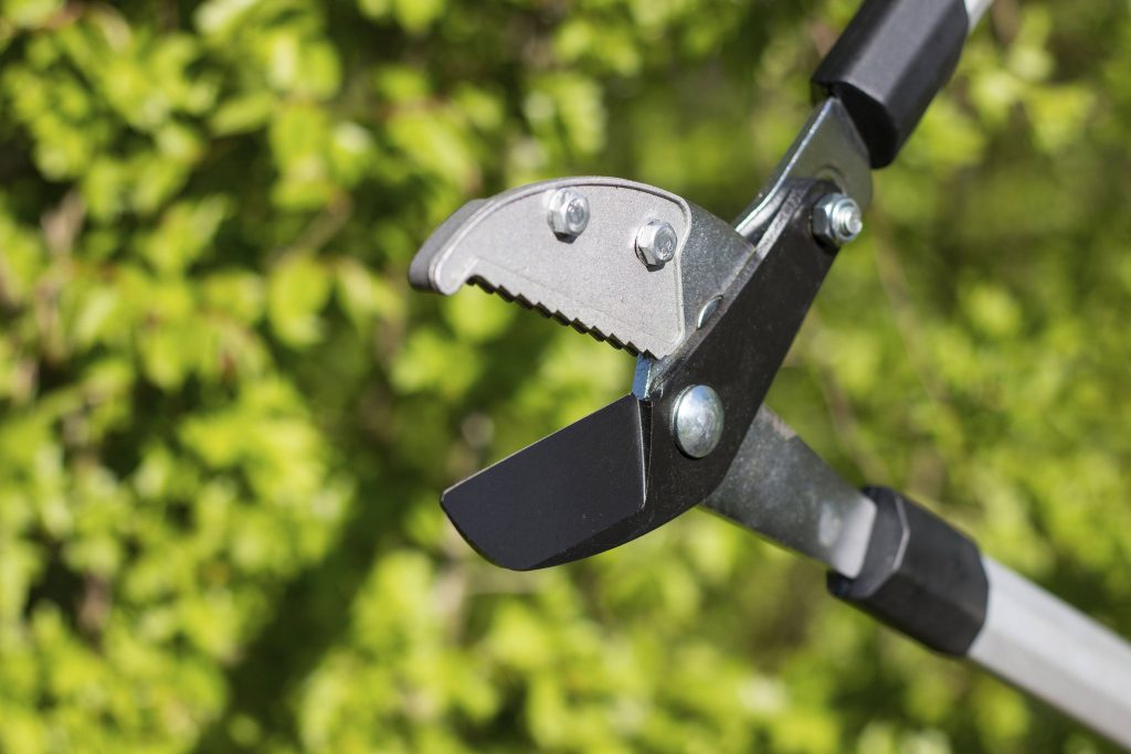 AMIG - Pruning Shears in Sri Lanka | Homemart | Shop Online