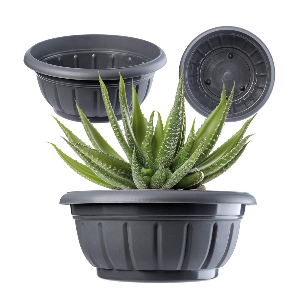 Plastic Lotus Pot in Sri Lanka | Homemart | Shop Online
