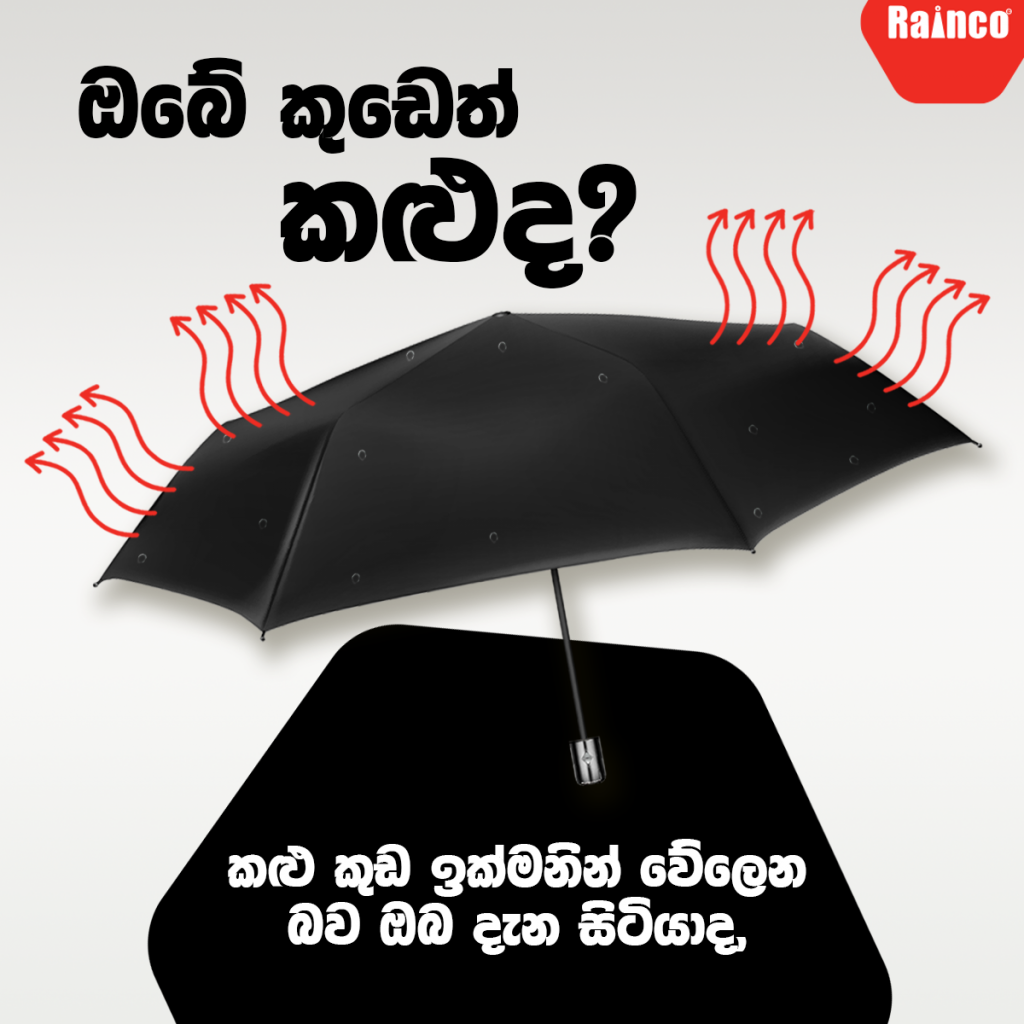 Rainco - Ladies Umbrella Black in Sri Lanka | Homemart | Shop Online